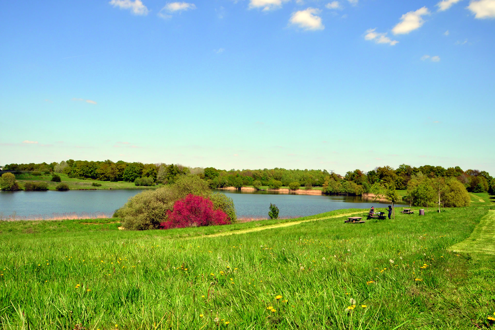 Mairie de Roissy-en-Brie - Communauté d'agglomération Paris - Vallée de ...