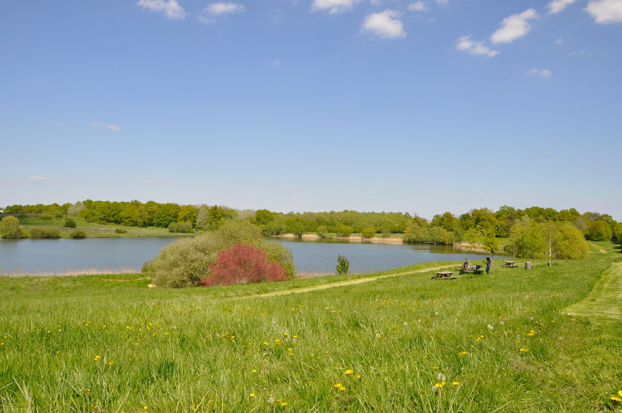 Étang du Coq - Communauté d'agglomération Paris - Vallée de la Marne
